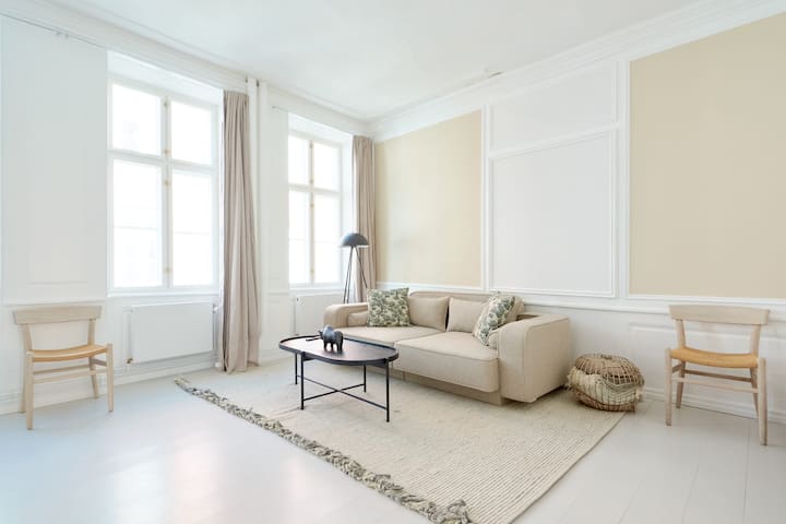 Spacious 2br Apt On Copenhagen Shopping Street - Copenhagen Central Station