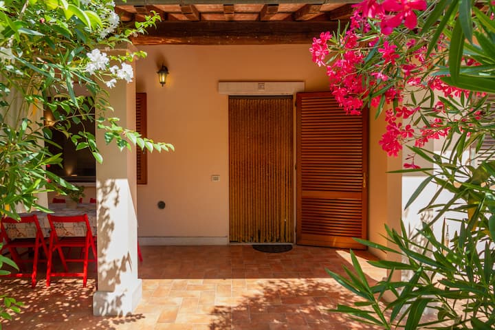 Bilo Camelia - Castiglione della Pescaia