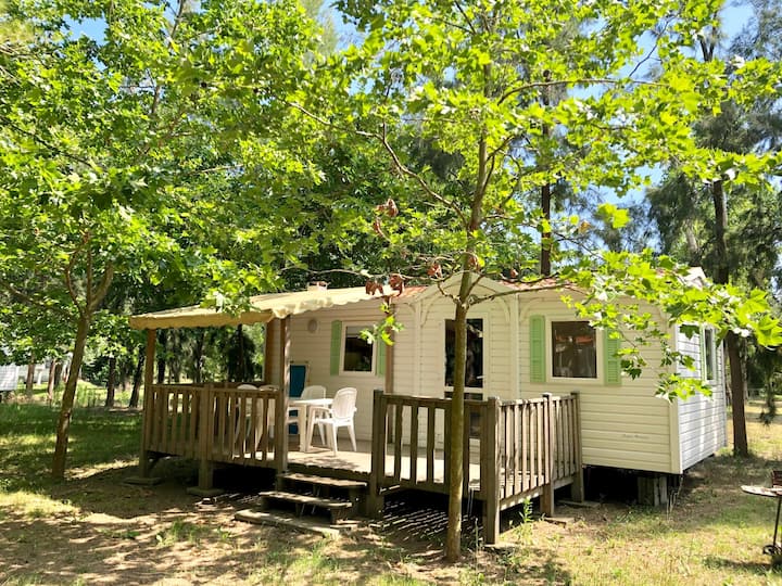 Mobil-home Mercure 3 Pièces 4/5 Personnes - Plage De Ghisonaccia