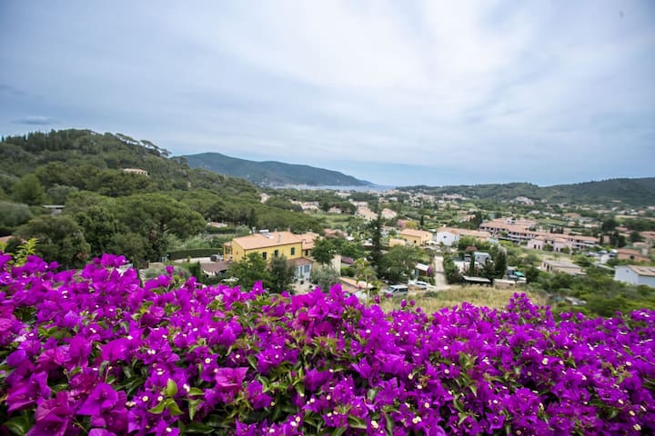 La Palazzina Nel Verde 4 In A Panoramic Position - Marina di Campo