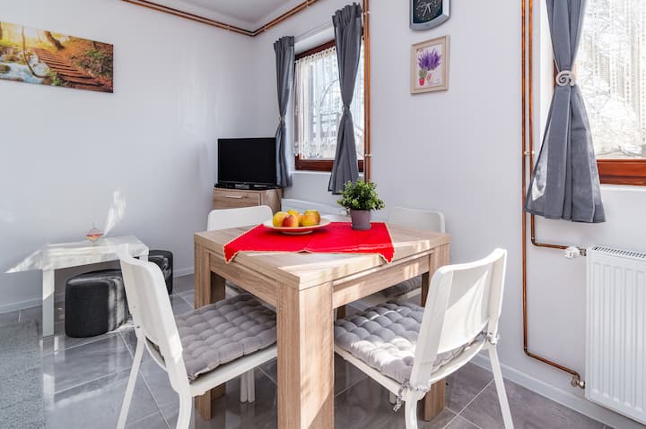 A-20709-a Appartement D'une Chambre Avec Air - Rakovica