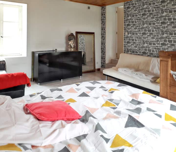 Maison Rustique à Luçay-le-mâle Avec Jardin - ZooParc de Beauval