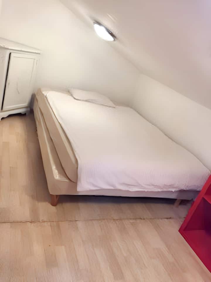 Appartement Charmant à Roanne, Terrasse, 56 M² - Roanne