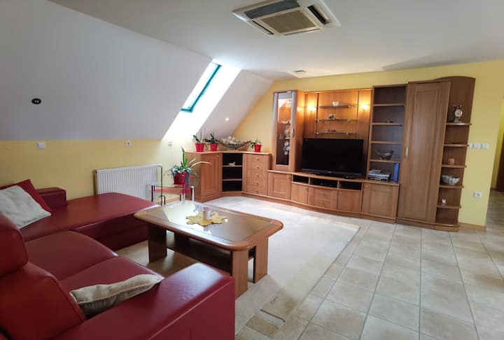 Large Cosy Three Bedroom Apartment In ČRnivec - Kamnik