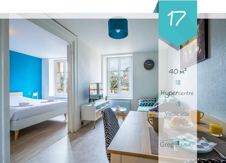 *Le 17*gregimmo*appart'hôtel - Belfort