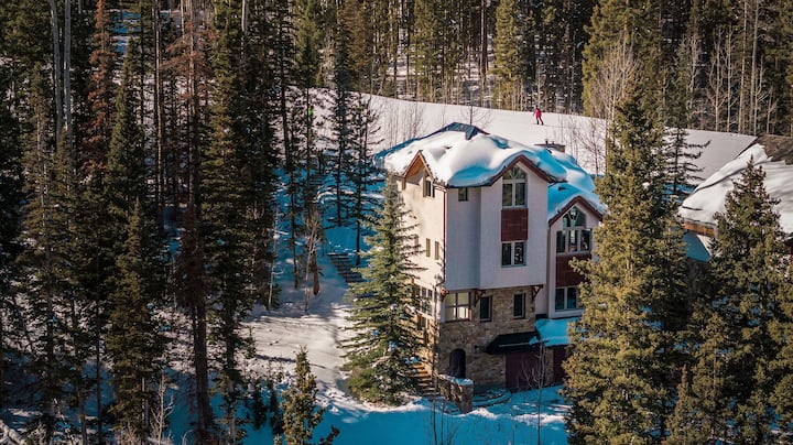 Direct Ski In/out Private Single Family; Brand New - Telluride, CO