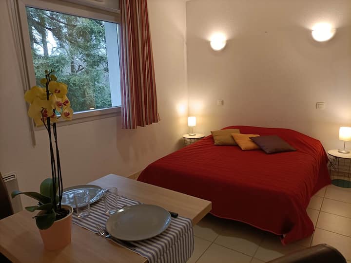 Studio Dans Résidence Avec Piscine C56 - Salies-de-Béarn