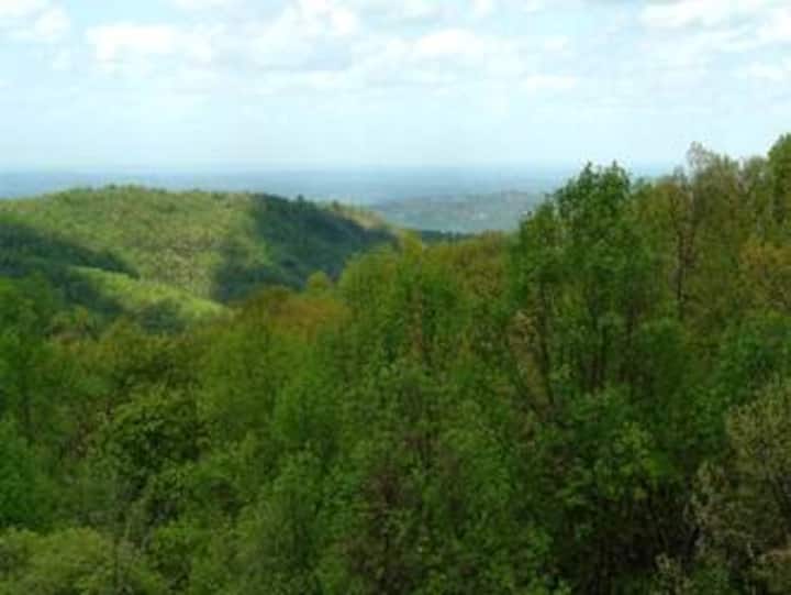 Grandpa's Den #205 · Free Ticket To Dollywood And - Gatlinburg