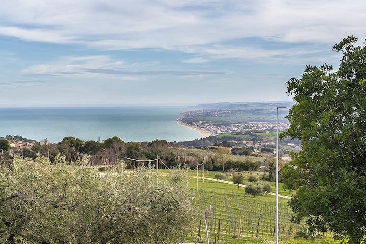S294 - Sirolo, Apartment With Terrace And Sea View - Sirolo