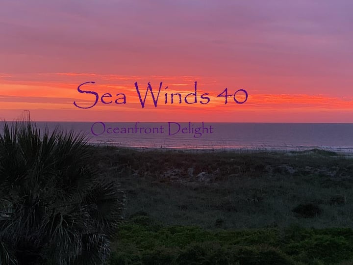 Sea Winds 40 Oceanfront Delight - St. Augustine Beach, FL
