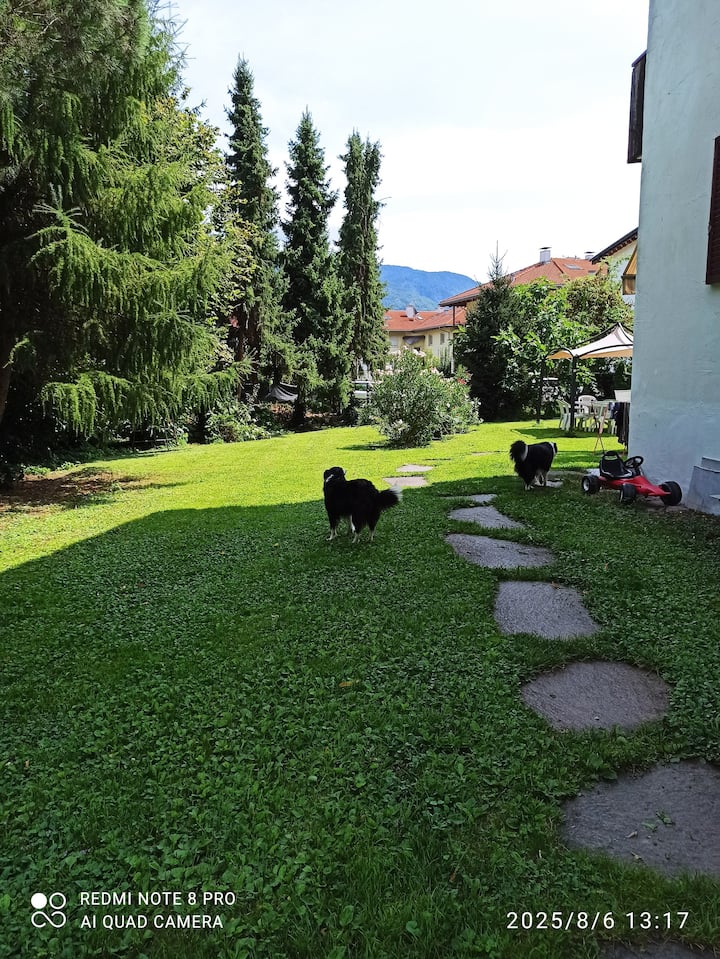 Apartement Annabelle - Lana