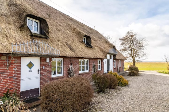 Schipp Landen Elsabea - Husum