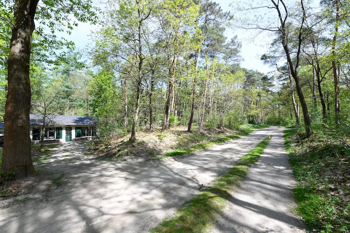 Forest House Wina - Ede