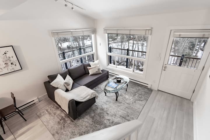 Renovated 1br Loft On River In Aspen Core - Aspen, CO