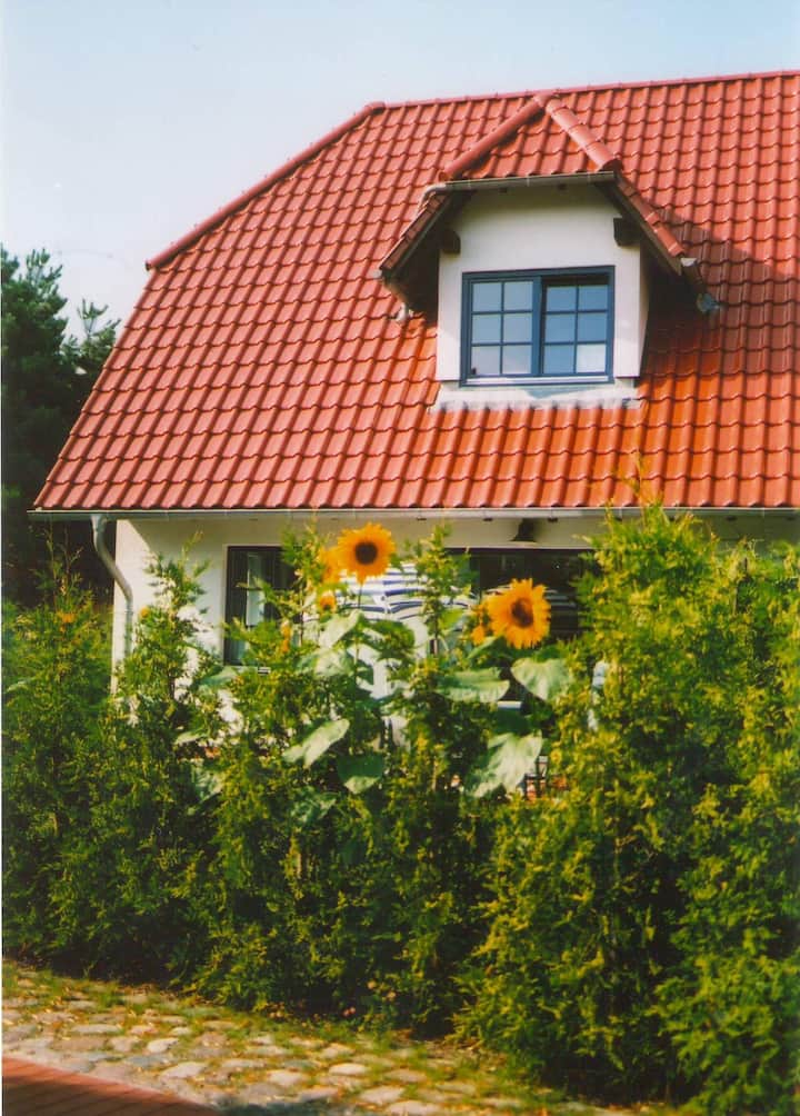Lindenstrasse 32b Og - Zingst