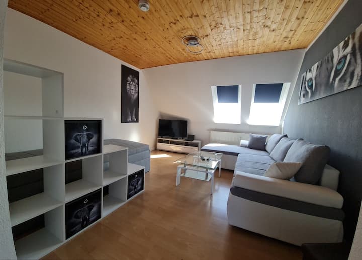 Ferienwohnung Carola (172406) - Altenburg