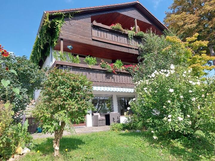 Hibiskus (183456) - Bad Wurzach