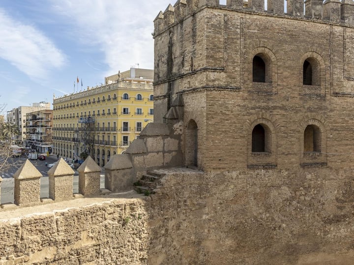 La Muralla De Sevilla Duplex - Seville