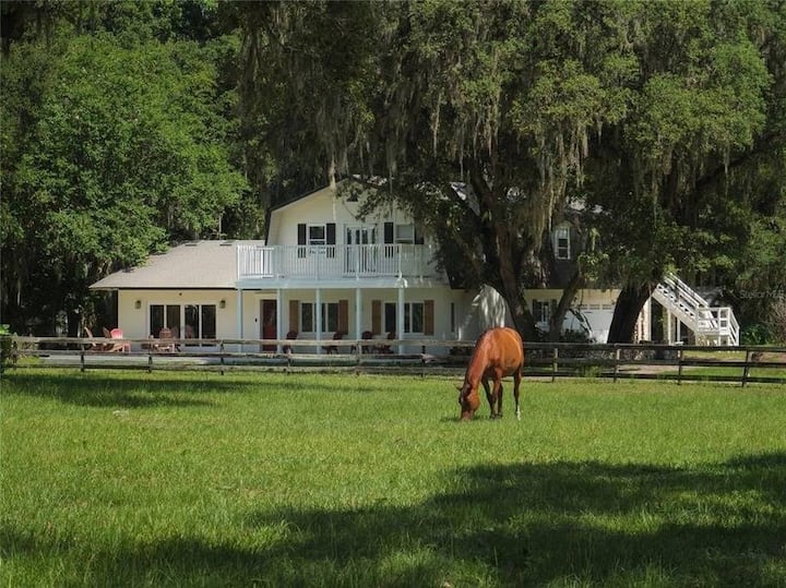 Majestic 10 Acre Ocala Farmhouse W Pool! Events! - Ocala, FL