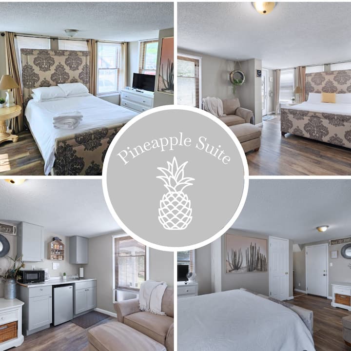 Pineapple Suite+main Street+river Views - Grafton, IL