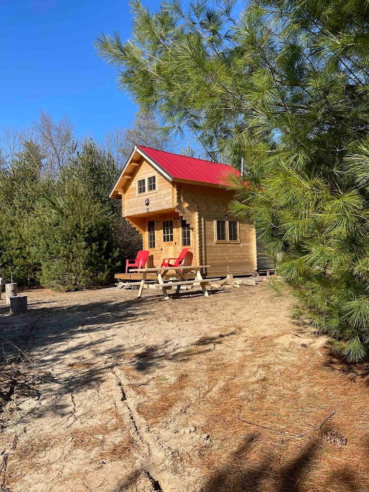 Cozy Woodland Bunkie + Outdoor Shower + Wifi - Delhi, ON, Canada