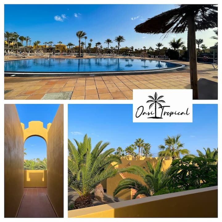 Oasis Tropical Wifi Free - Corralejo