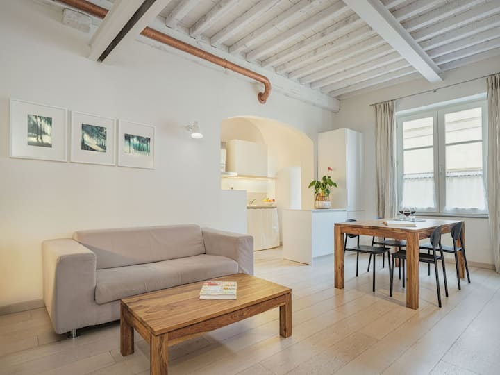 Magenta Spacious Lucca Stay With Elevator And Ac - Lucca