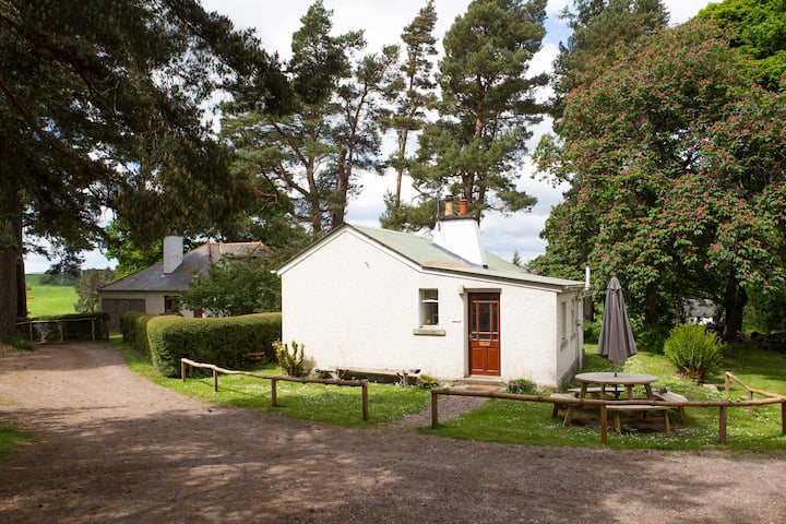 The Bungalow - Elgin