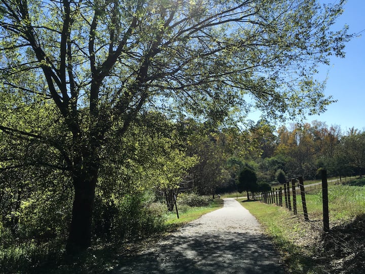 4 Pet-friendly Units W/ Free Parking! Outdoor Pool - Duluth, GA