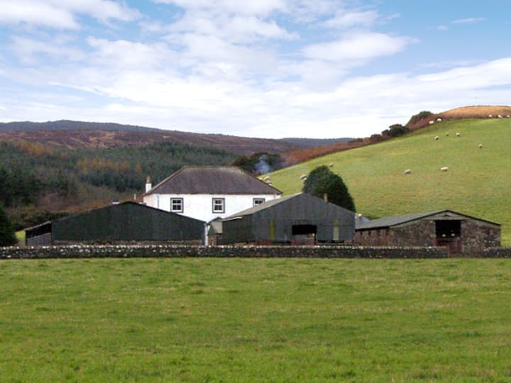 Homestone Farm - Campbeltown
