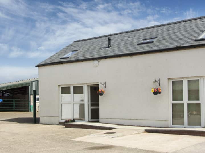 The Loft - Powfoot
