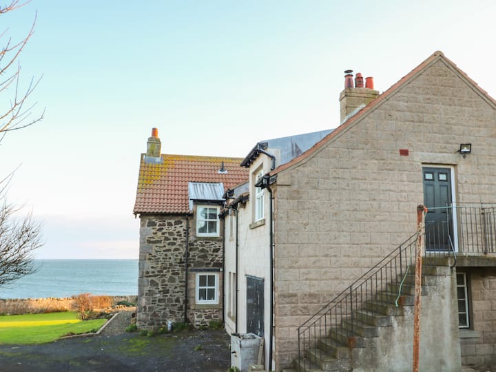 The Rest - Coldingham Bay