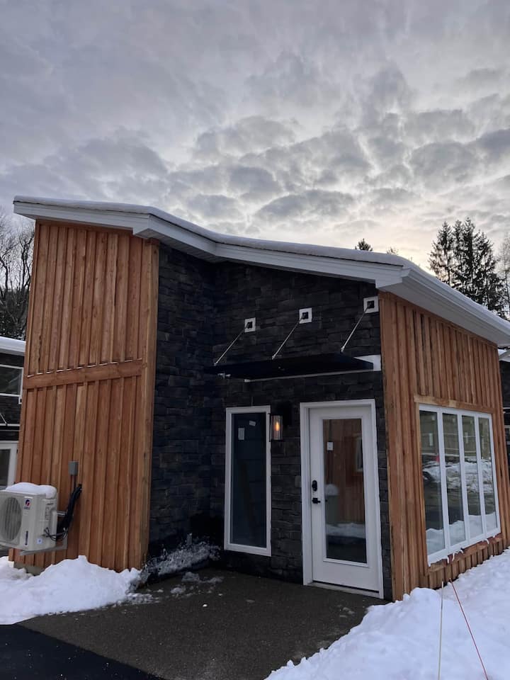 Jackson Hole Loft - Ellicottville, NY