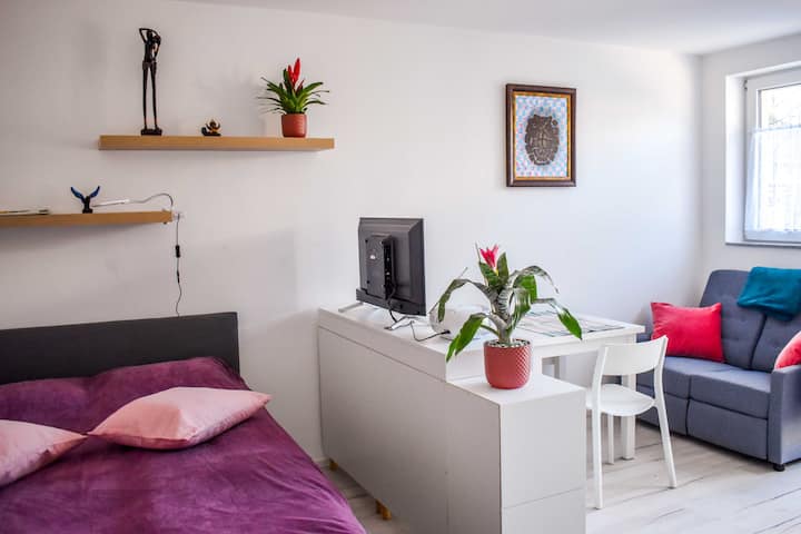 Apartment River Ljubljanica - Ljubljana