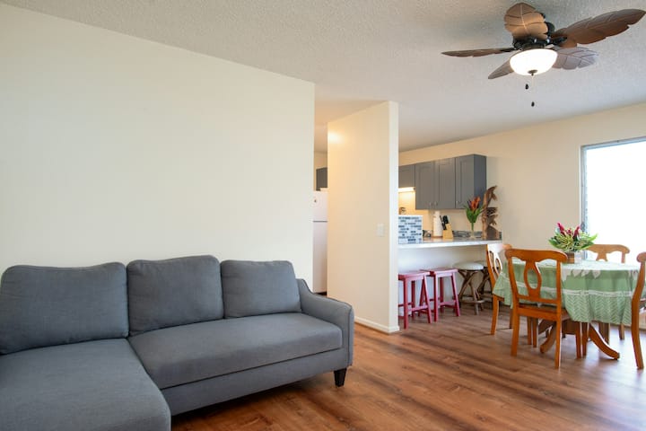 1br Downtown Condo Near The Bay With W/d & Cable - 希洛