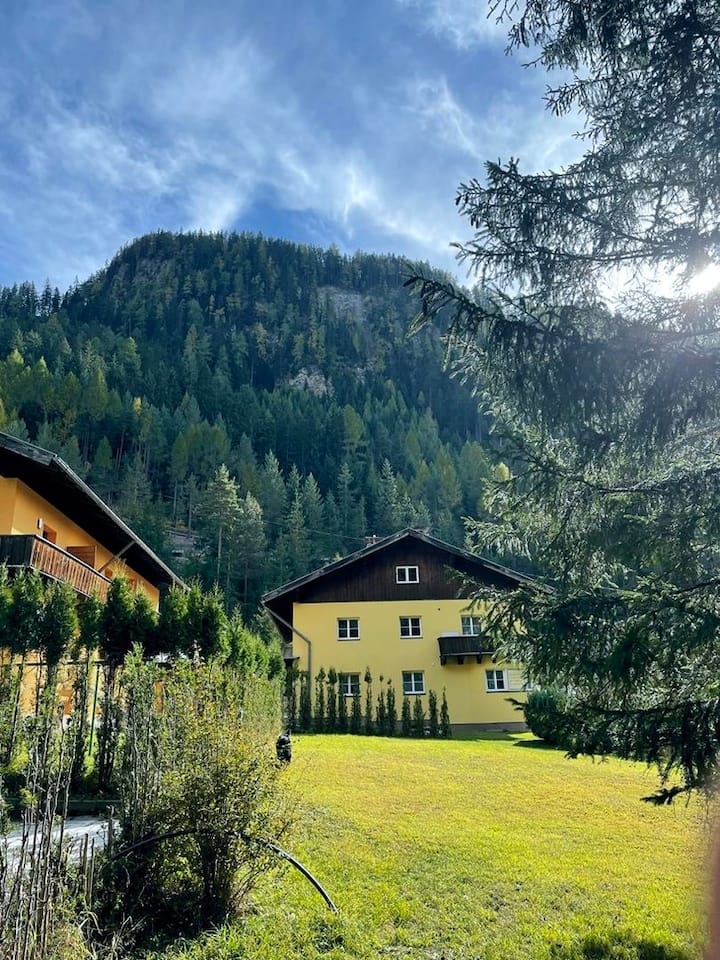 Ferienwohnung Neufundländer (165489) - Ischgl