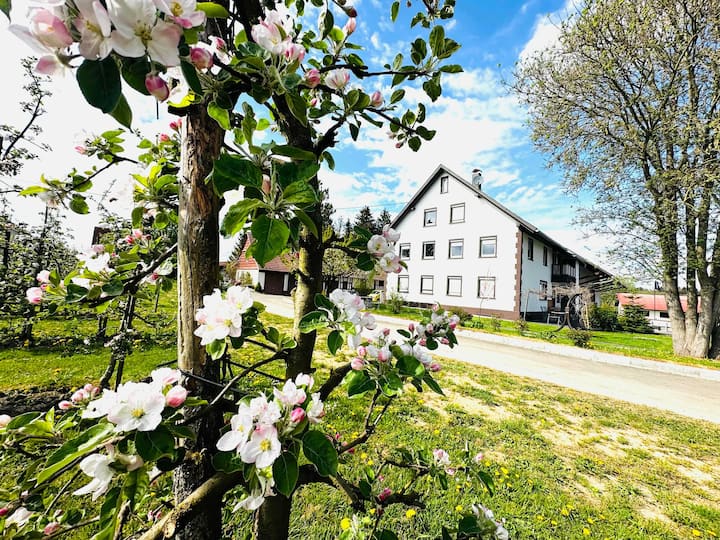 Bauernhofwohnung Friedrichshafen - Ravensburg