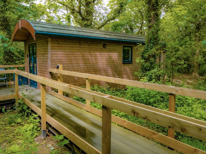 Woodpecker - Uk43451 - Hayle