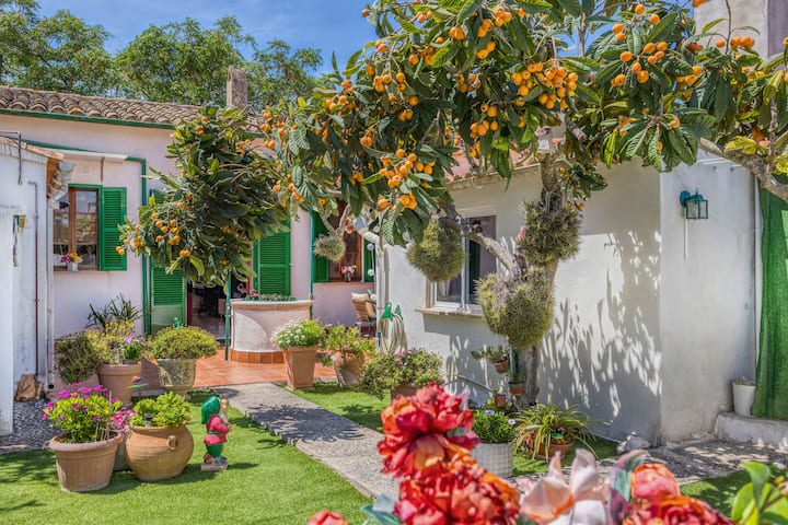 Casa Vileta - Palma