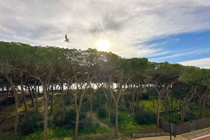 Appartamento Follonica 87 - Follonica