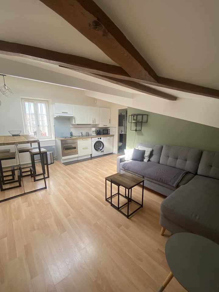 Zenith – T2 Lumineux & Calme, Hypercentre - La Rochelle