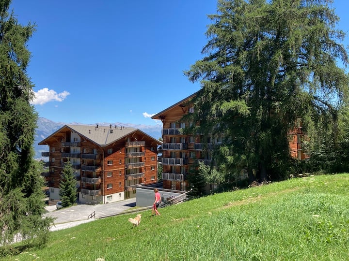 Ferienwohnung/app. Für 7 Gäste Mit 47m² In Haute-nendaz (161446) - Nendaz