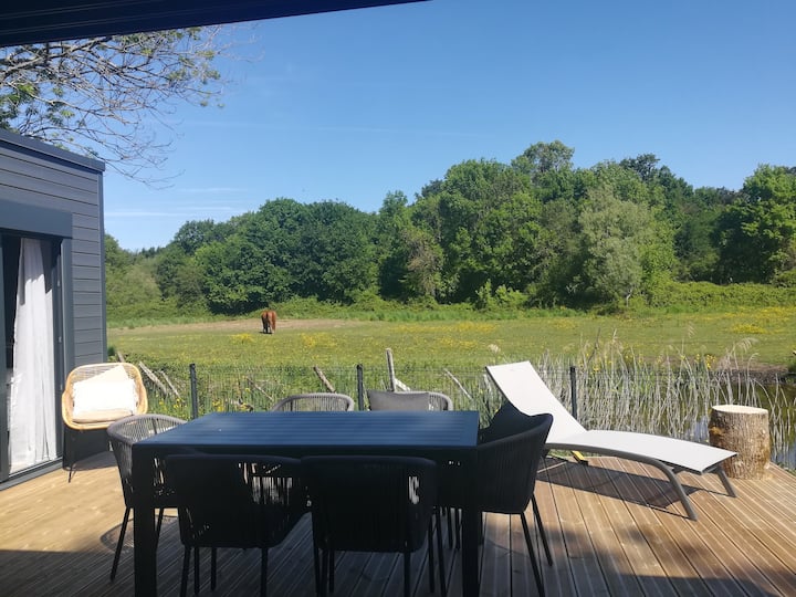 Charming Ecolodge In A Quiet Area, Heated Pool All - La Palmyre