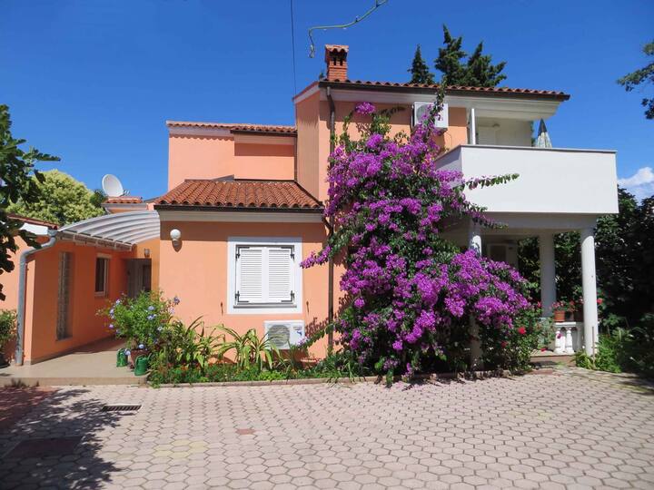 Appartement De Vacances Avec L'utilisation De La C - Premantura