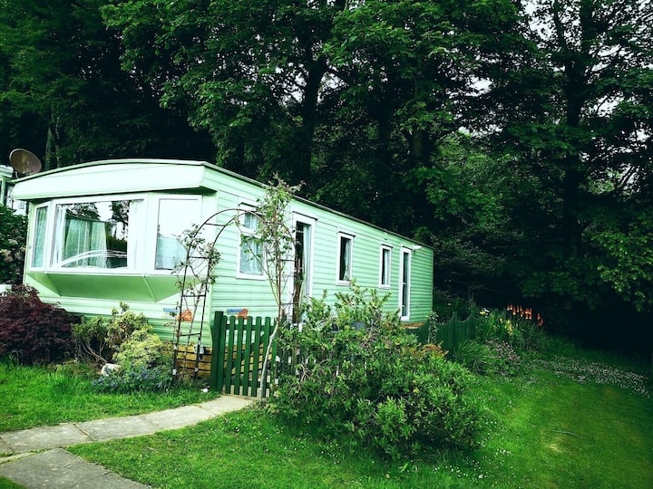 Family-friendly Woodland Caravan | Pool & Bar - Tywyn