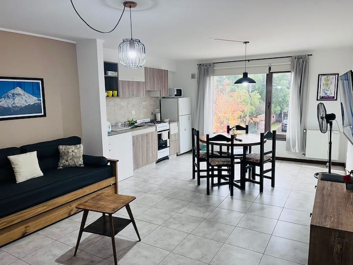 Cómodo Y Luminoso Depto 2/4 Pax - San Martin de los Andes