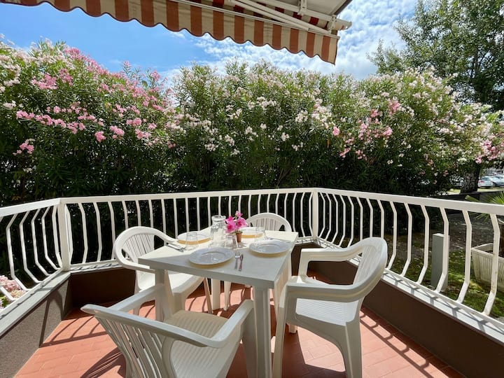 Profitez De La Piscine De Notre Appartement Confor - Caorle