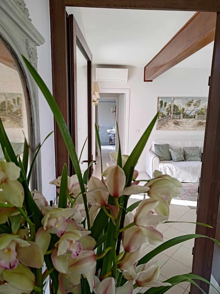 Berto's House Tra Mare E Laguna - Cavallino-Treporti