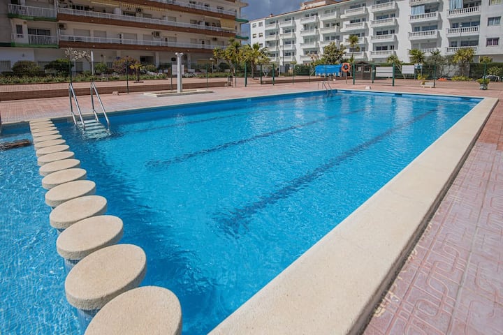 Ba - Lotus Paloma - Malgrat de Mar