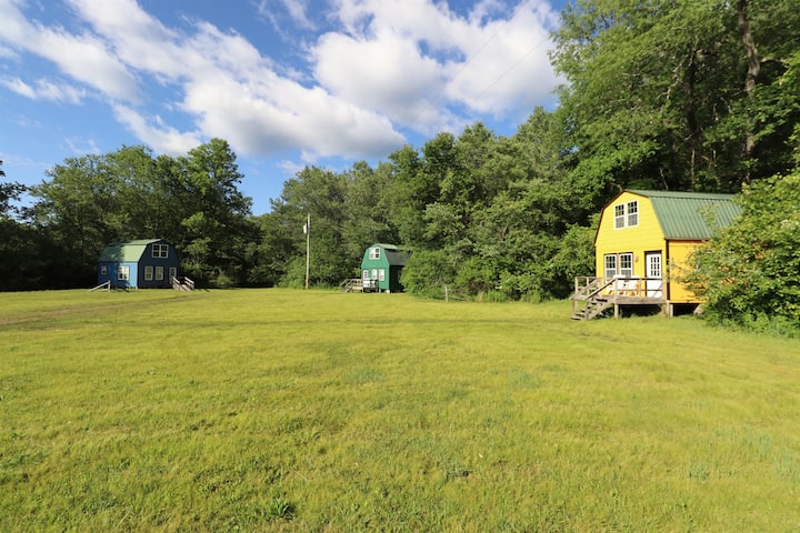 Maple Ridge Creek In The North Georgia Mountains - Mineral Bluff, GA